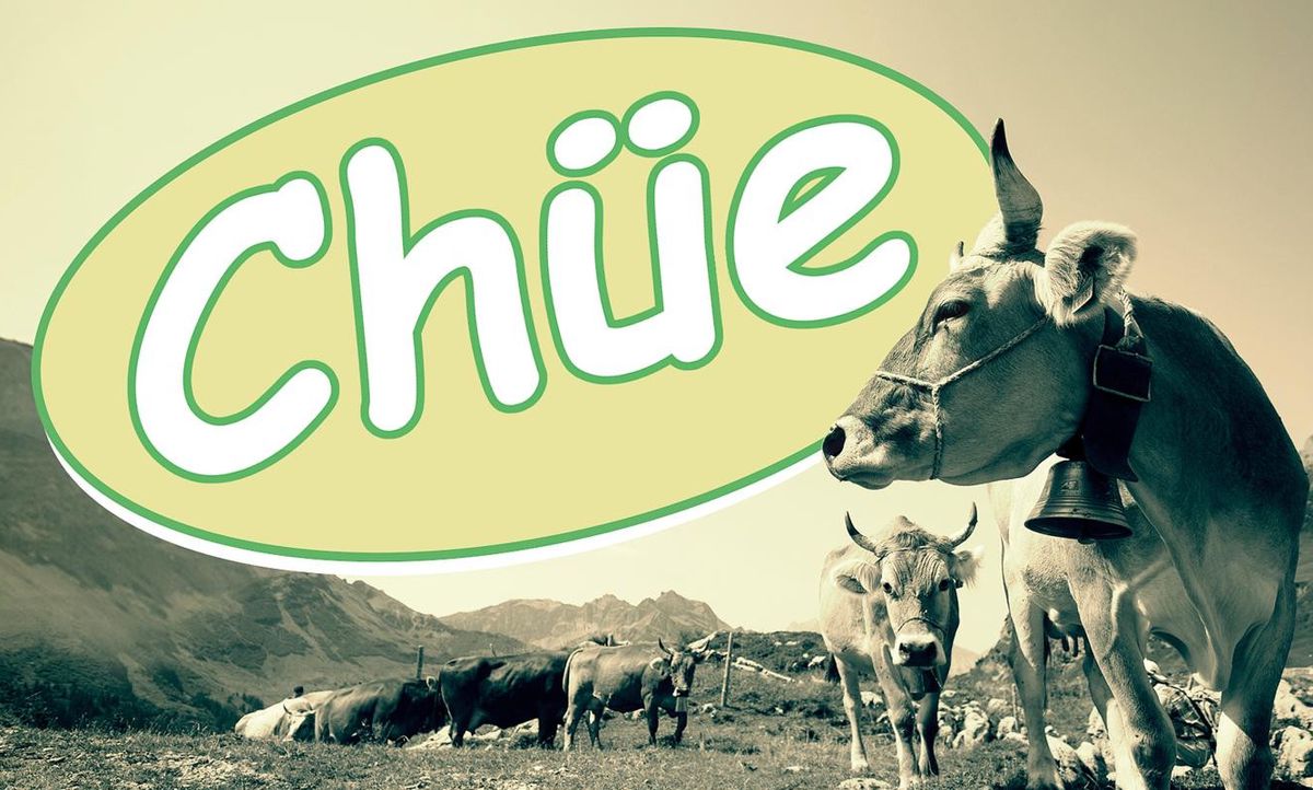 Dialekt-Test: Wir wissen, woher Sie stammen – jetzt noch genauer ...