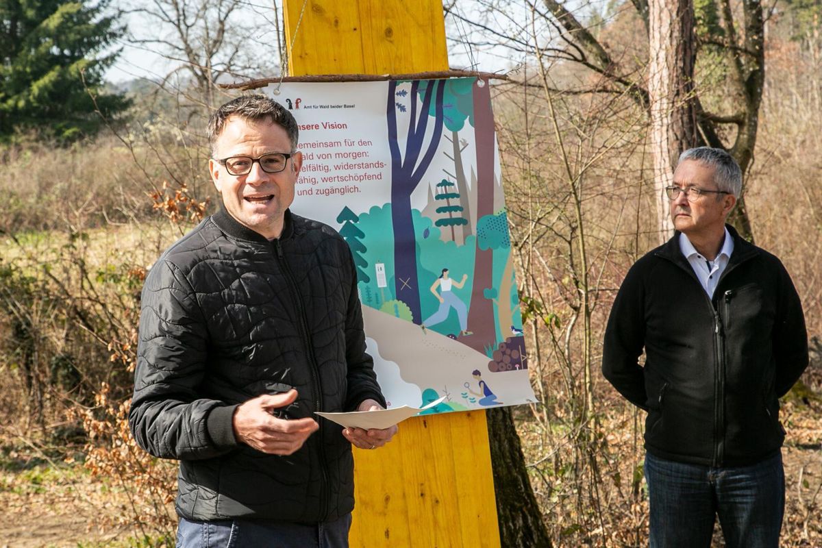 Neues Leitbild für den Wald in den beiden Basel – Der Wald begeistert ...