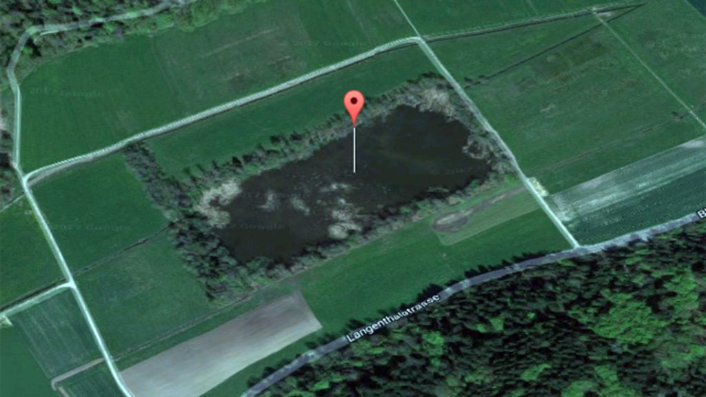 Ein einziger Sumpf | Der Bund