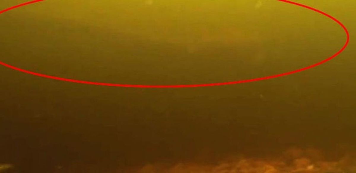 Loch Ness – Une vidéo étaye la théorie de l'anguille géante - L'essentiel