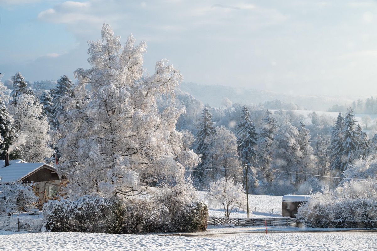 Winterthur und Region: Die schönsten Bilder zum Wintereinbruch | Der ...