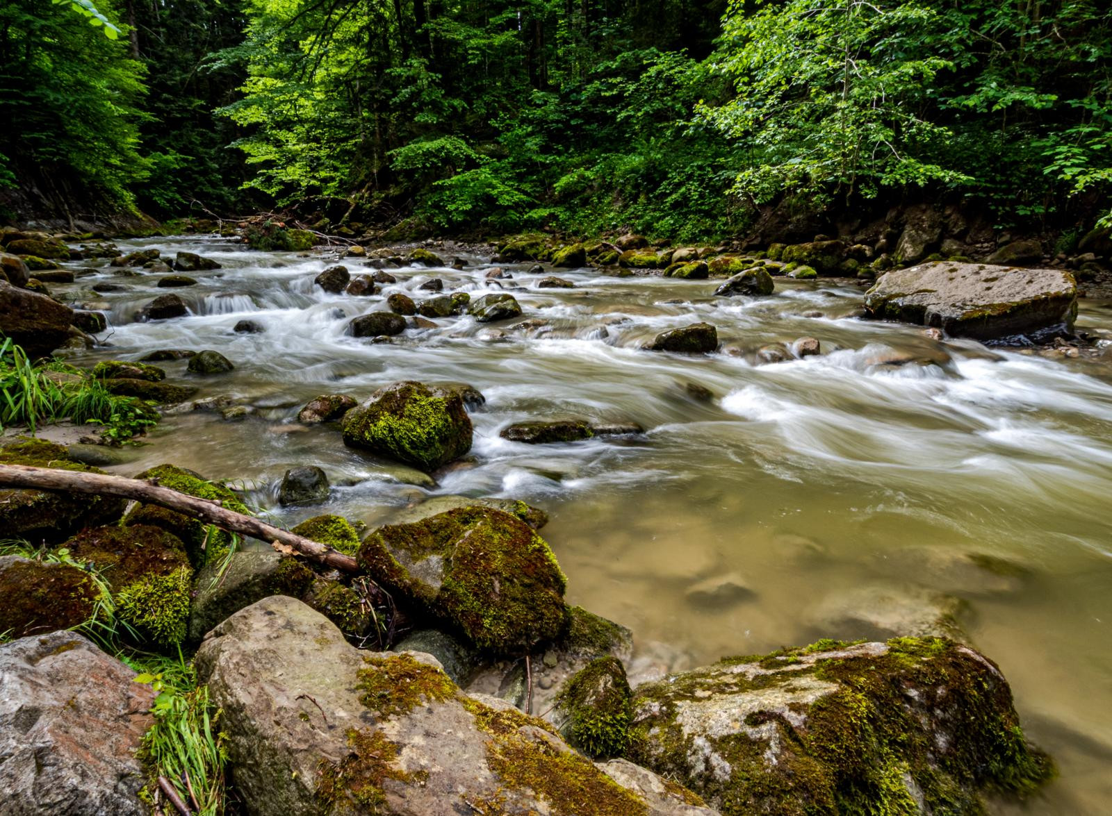 5 Flusswanderungen in der Schweiz: Kühl und grün – Wanderrouten entlang ...