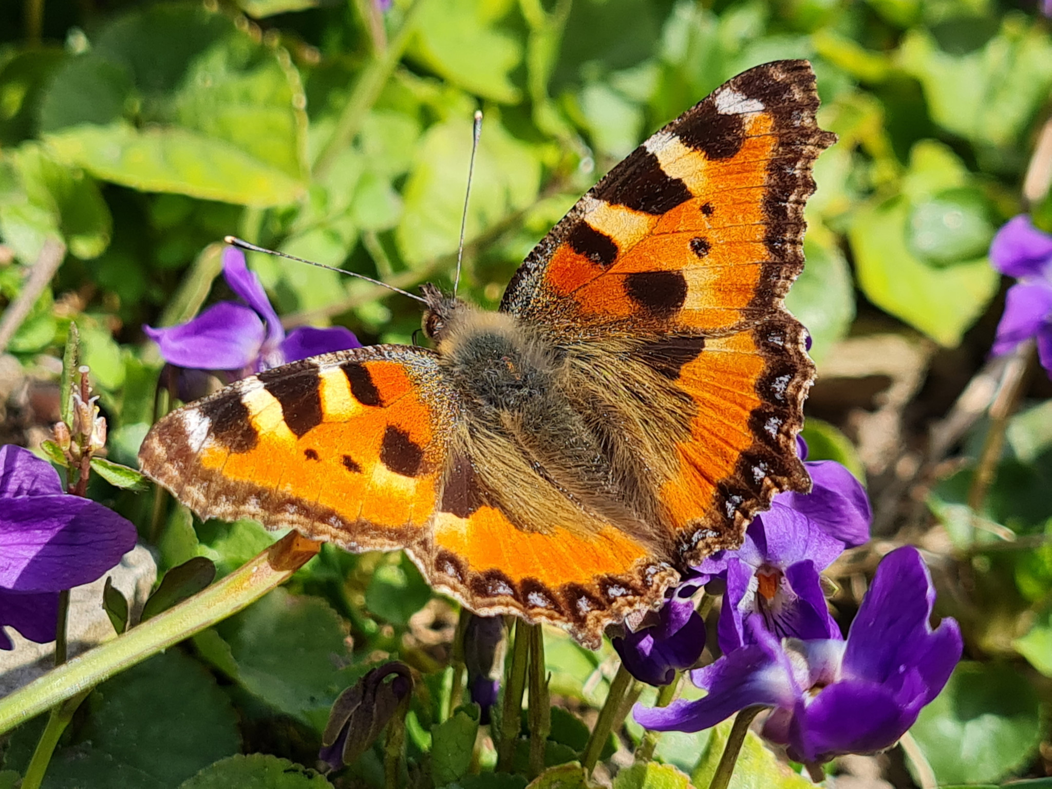 Bilder des Monats – Februar: Das sind die schönsten Leserbilder des Monats