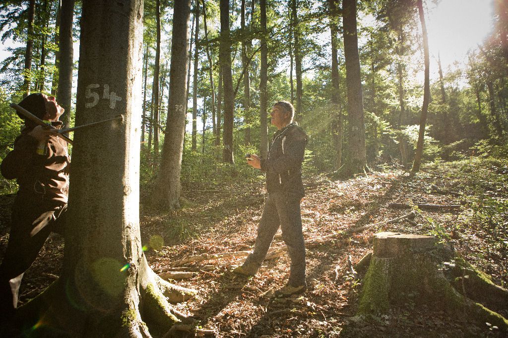 Der Wald ist ein Verlustgeschäft | Basler Zeitung