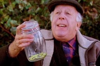 Récompense – Le Luxembourgeois Fernand Fox gagne un prix de meilleur ...