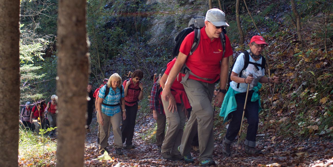 Wandern im Wald: Routen-Tipps für Graubünden, Wallis, Aargau | Basler ...