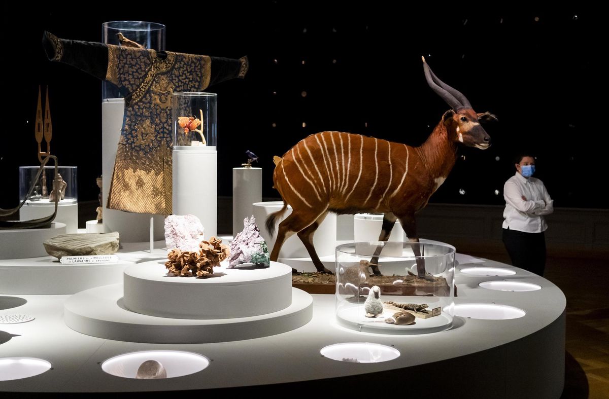 «Exotic?» doit déjà fermer après avoir ouvert bien des questions | 24 ...