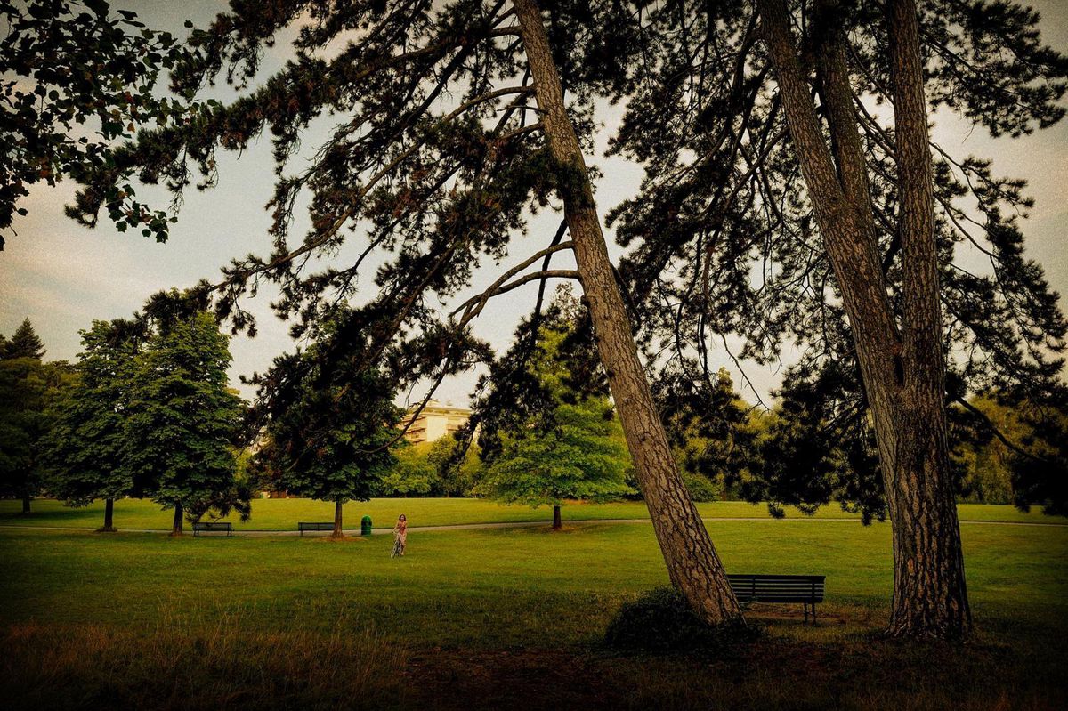Genève – Genève rouvre ses parcs, à l’exception du parc La Grange ...