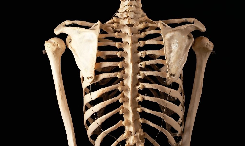 Wenn der Rücken ruckzuck heilen soll | Der Bund