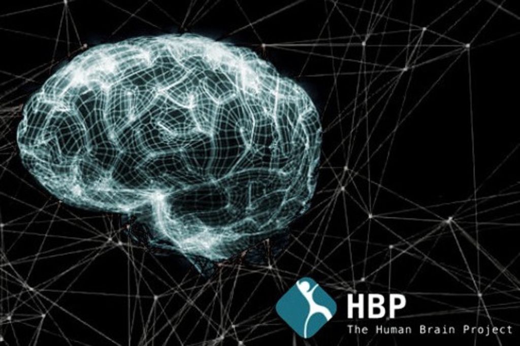 Neurosciences: Le Human Brain Project en phase opérationnelle - Le Matin
