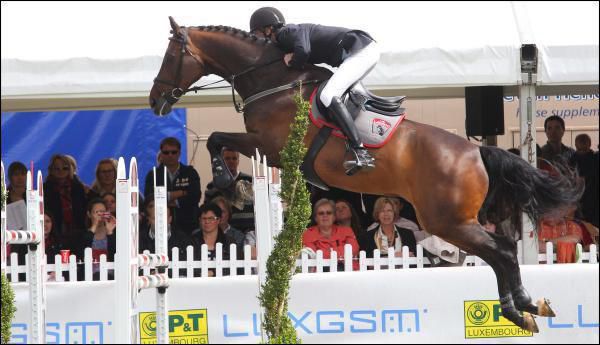 Reitsport – 13 Länder kämpfen in Luxemburg um den Pokal - L'essentiel