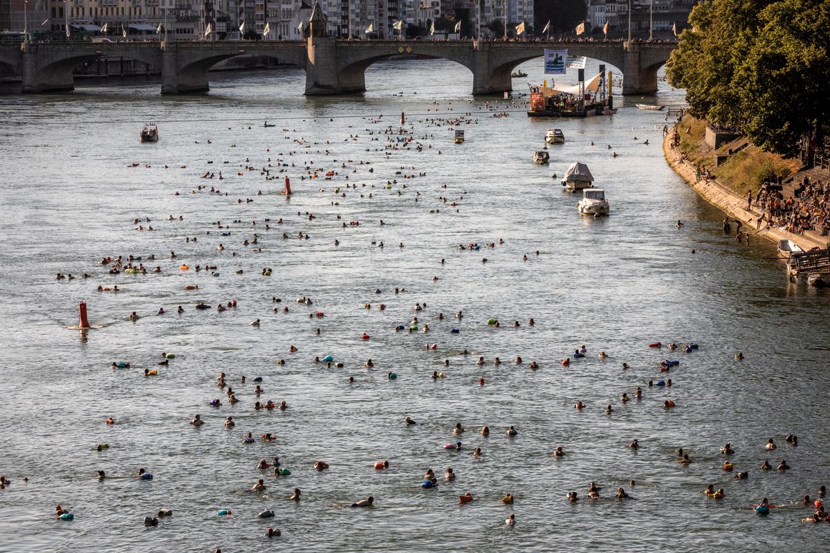 Basel: Offizielles Rheinschwimmen der SLRG