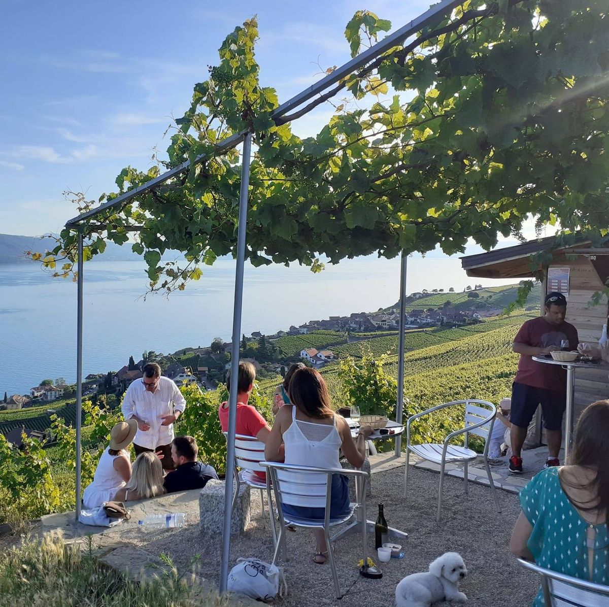 OEnotourisme vaudois: La capite de vigne, décor ou débit de boissons ...