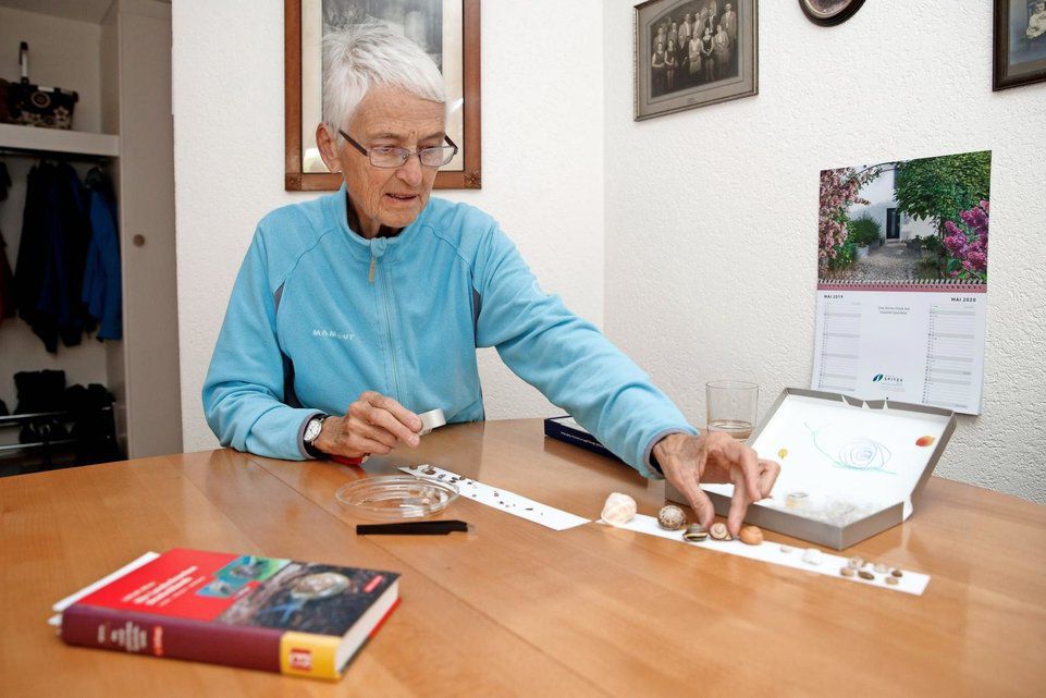 Die Schnecken – ihr Schatz | Berner Zeitung