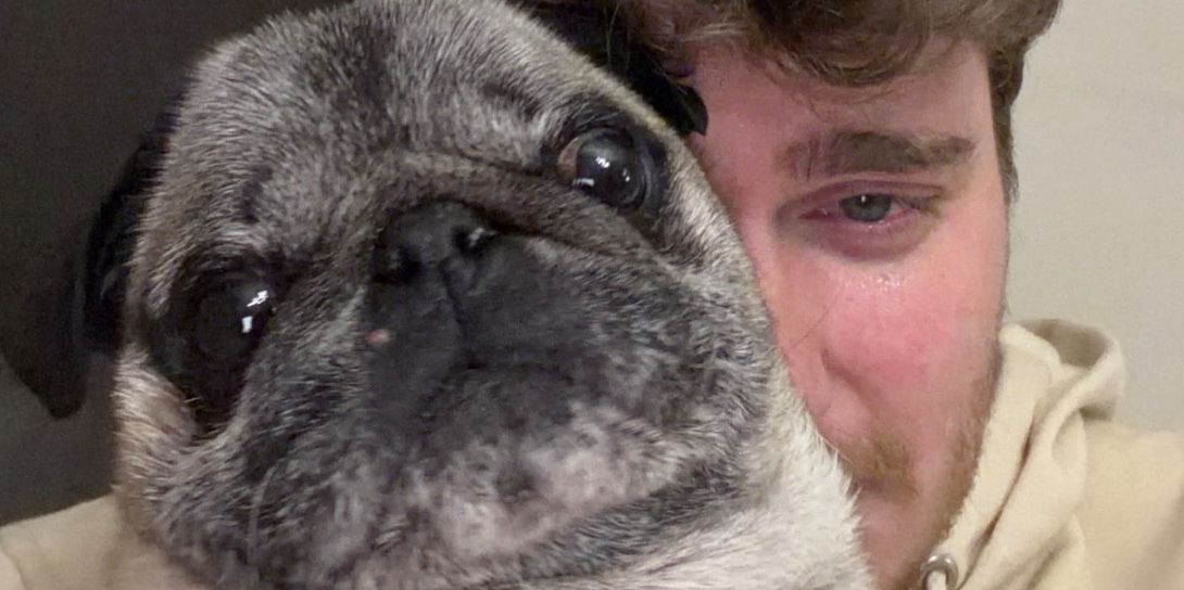 Snapchat: Cyril Schreiner simule le kidnapping de son chien Albert