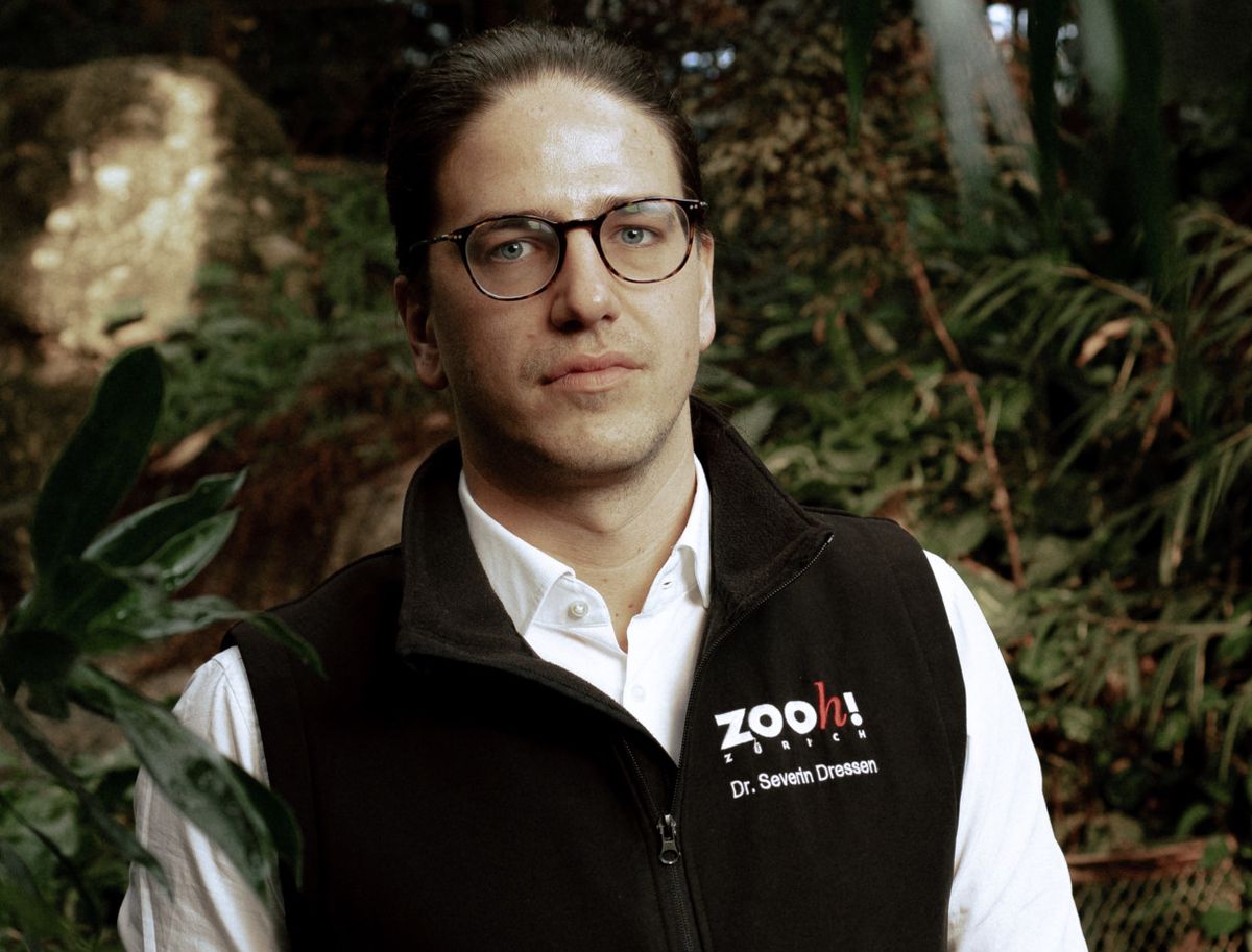Interview mit dem Zürcher Zoodirektor: Herr Dressen, wieso kann ein ...