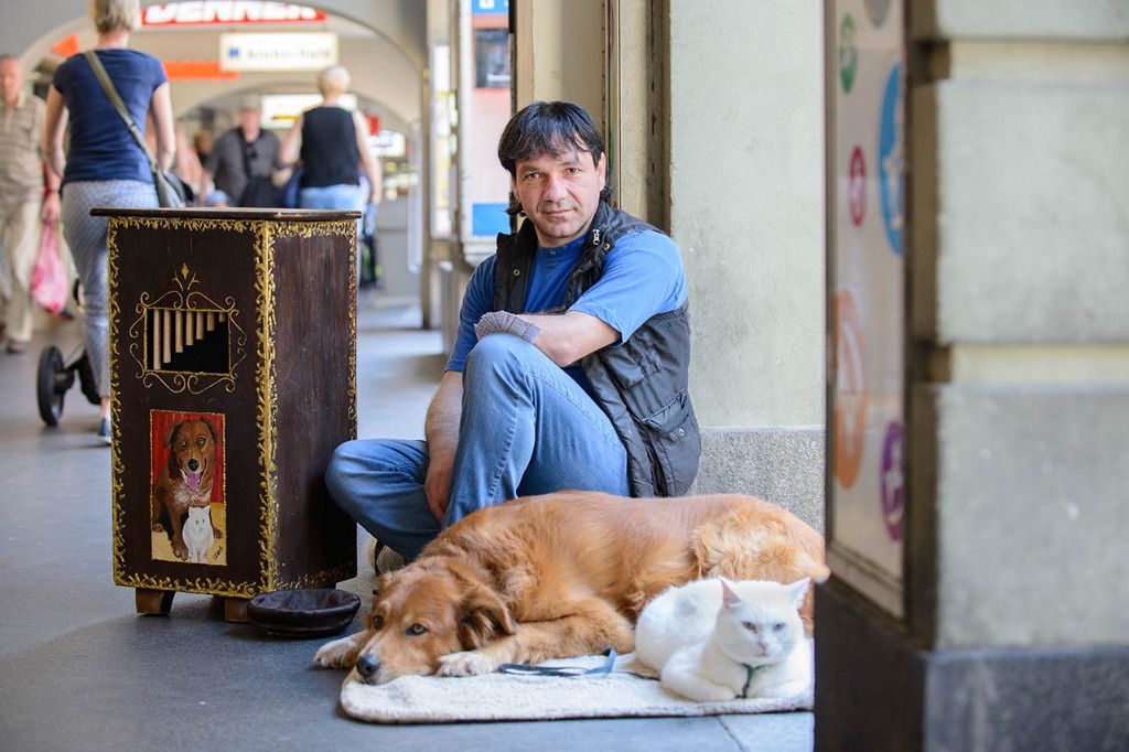 Lourd und Matz sind nicht wie Hund und Katz
