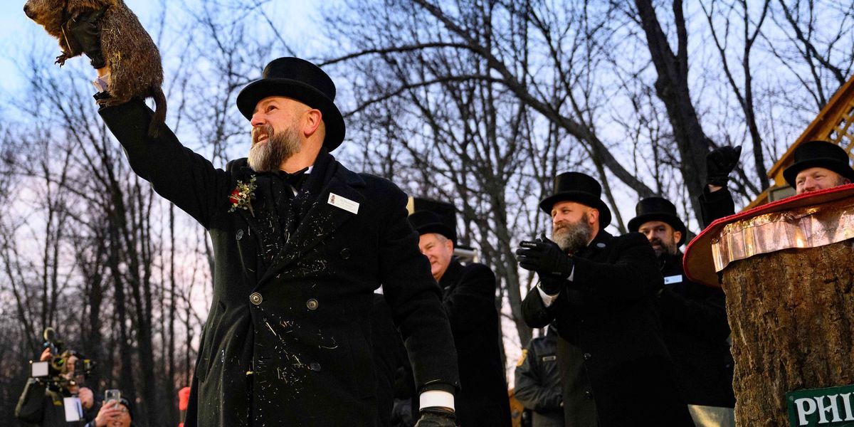 Murmeltier Phil sagt am Groundhog Day den Frühling voraus