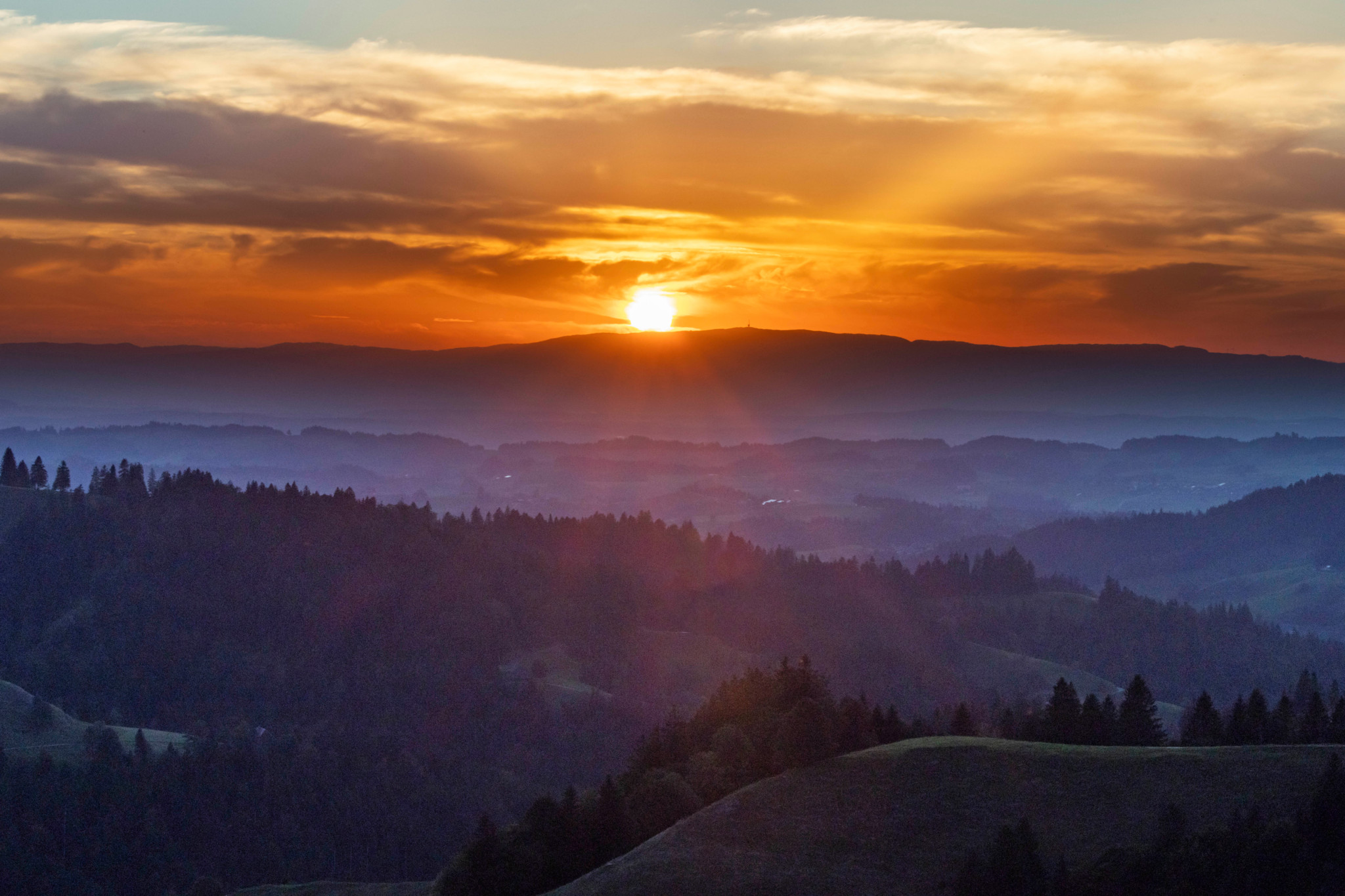 Pahindot teen pinay came across Rose's ad in Ft Collins and