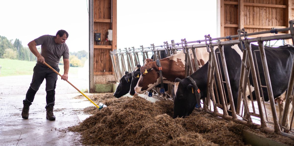 Weekend-Tipp Baselbieter Jura: Panorama der Extraklasse | Tages-Anzeiger