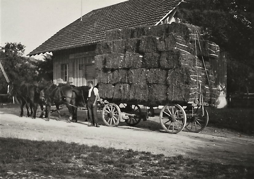 Leserantwort – Der Torf – ein Multitalent | Berner Zeitung
