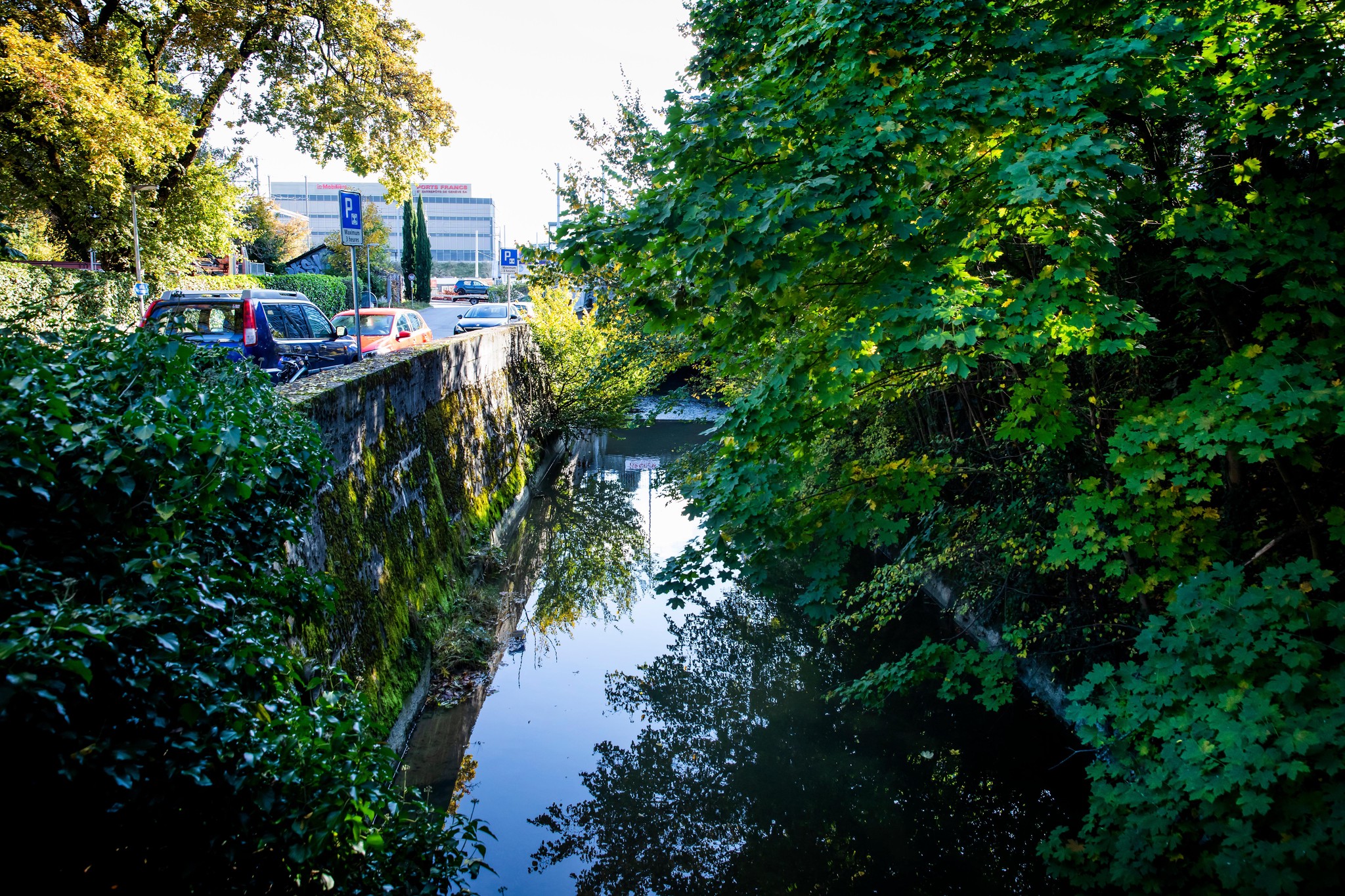 Nouveaux quartiers – Au PAV, dessine-moi une rivière | Tribune de Genève