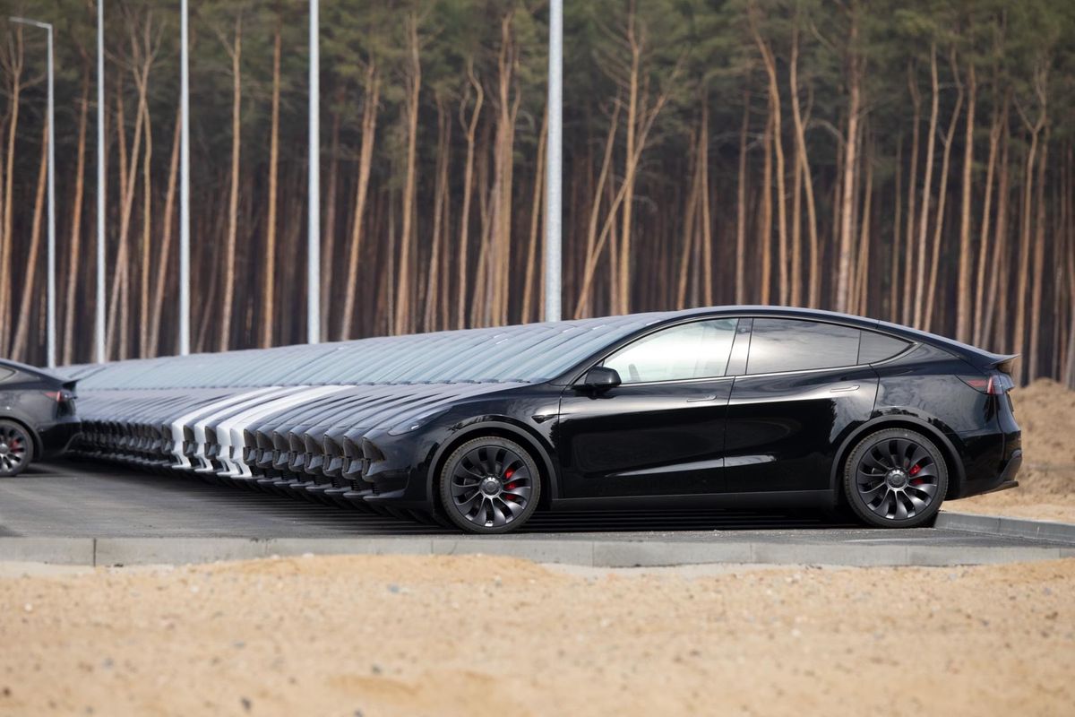 Tesla: 500’000 Bäume bei Bau für Grünheide Fabrik gerodet | Der Bund