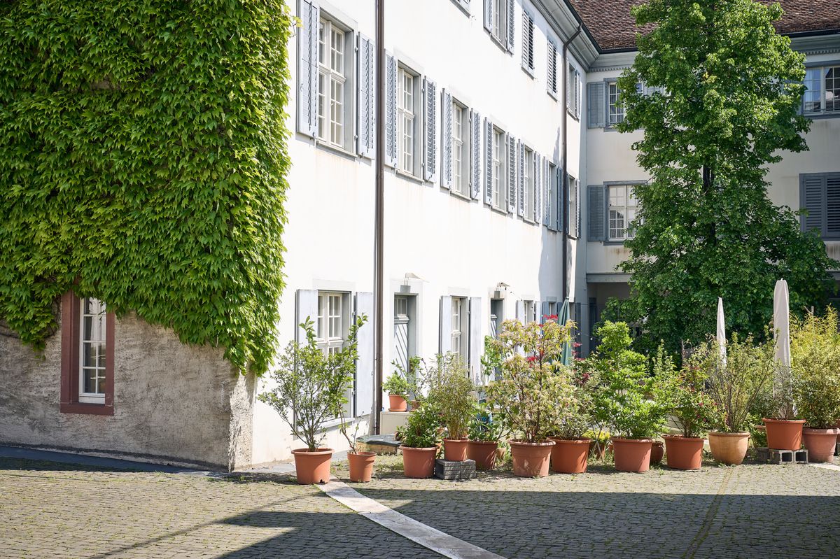 Rätsel: -minus Sommersprossen: Nummer 25: Die Hofidylle | Basler Zeitung