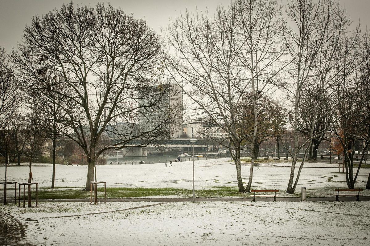 Schnee in der Region Basel – Die schönsten Bilder zum Winterstart ...