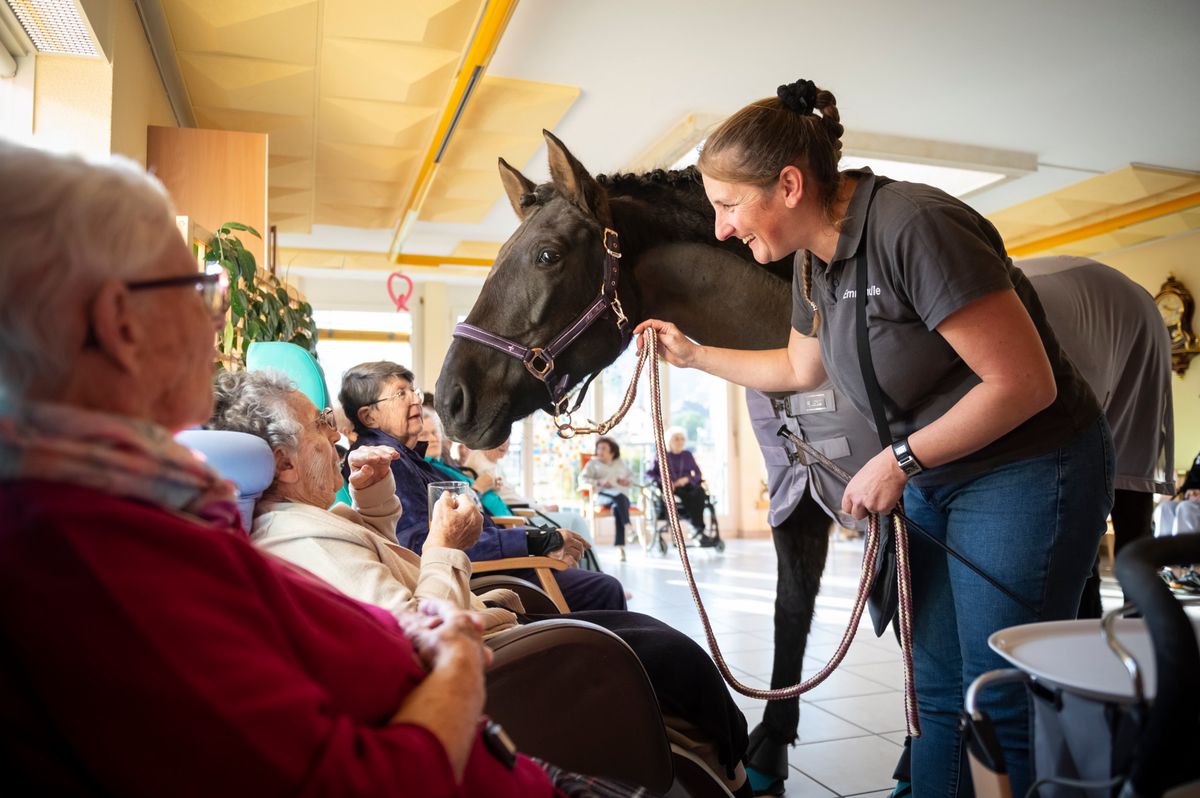 Therapie mit Tieren: mit Pferd, Hund und Hase im Altersheim | Berner ...
