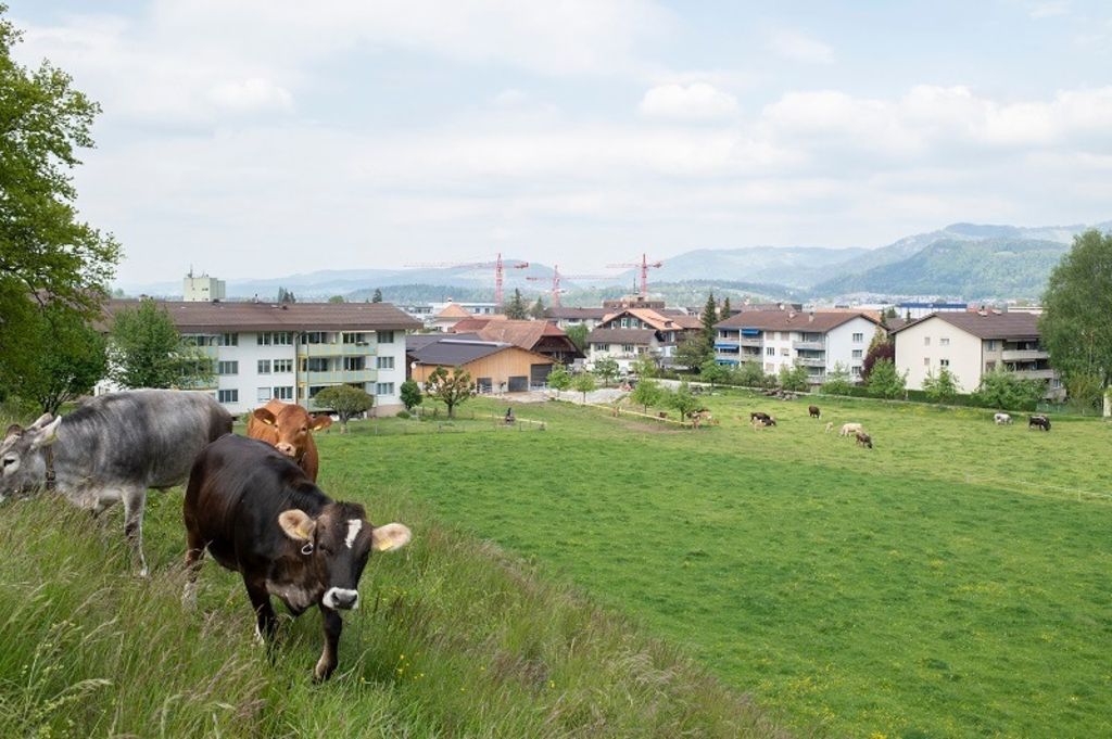 Uetendorf ist wieder an der Spitze | Berner Zeitung