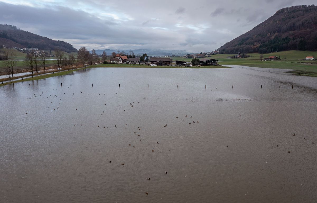 Neue Seenlandschaft im Gürbetal: Regenfälle überschwemmen Land bei Belp | Berner Oberländer