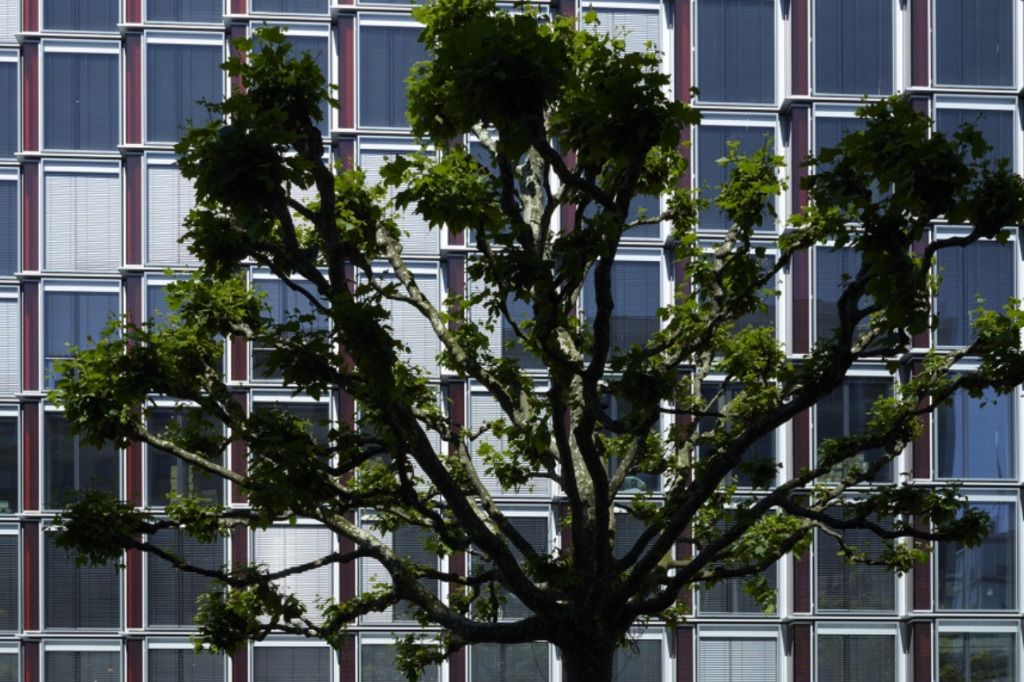 Edouard Cuendet: Genève 2018: merci aux entreprises privées