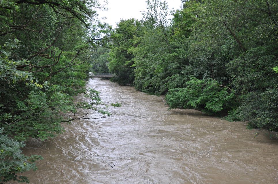 Rheinpegel erreicht Hochwassermarke | Basler Zeitung