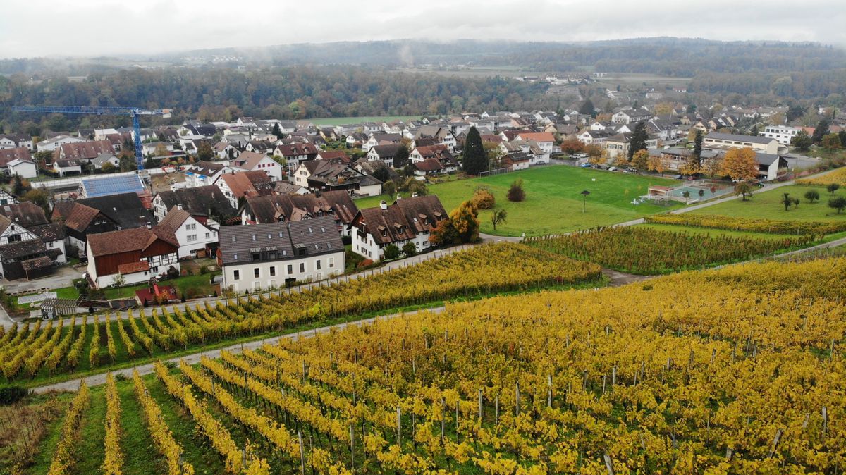 Ausflugstipps Region Winterthur: Das sind die zehn schönsten Rebberge ...