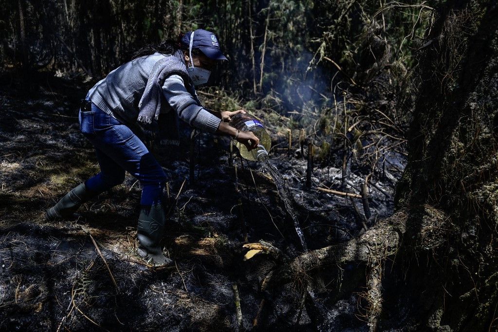 Incendies en Colombie: Le feu a déjà détruit 172 km2 de forêts