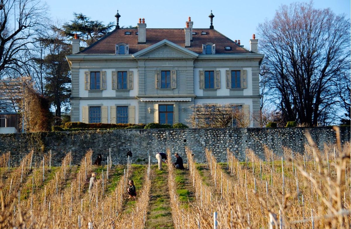 Ville de Genève: la commune pourrait acheter la villa de Zep | Tribune ...