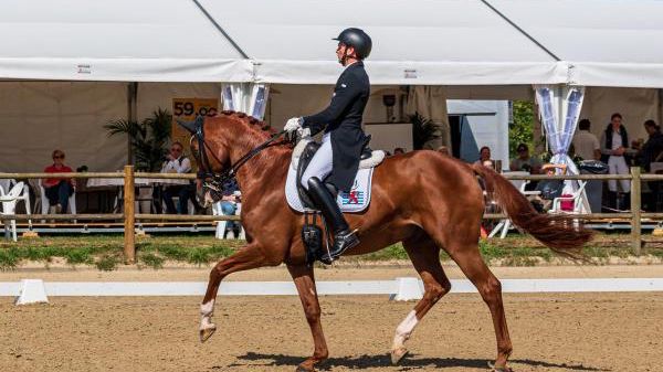 Equitation au Luxembourg – Nicolas Wagner «fier de représenter son pays ...
