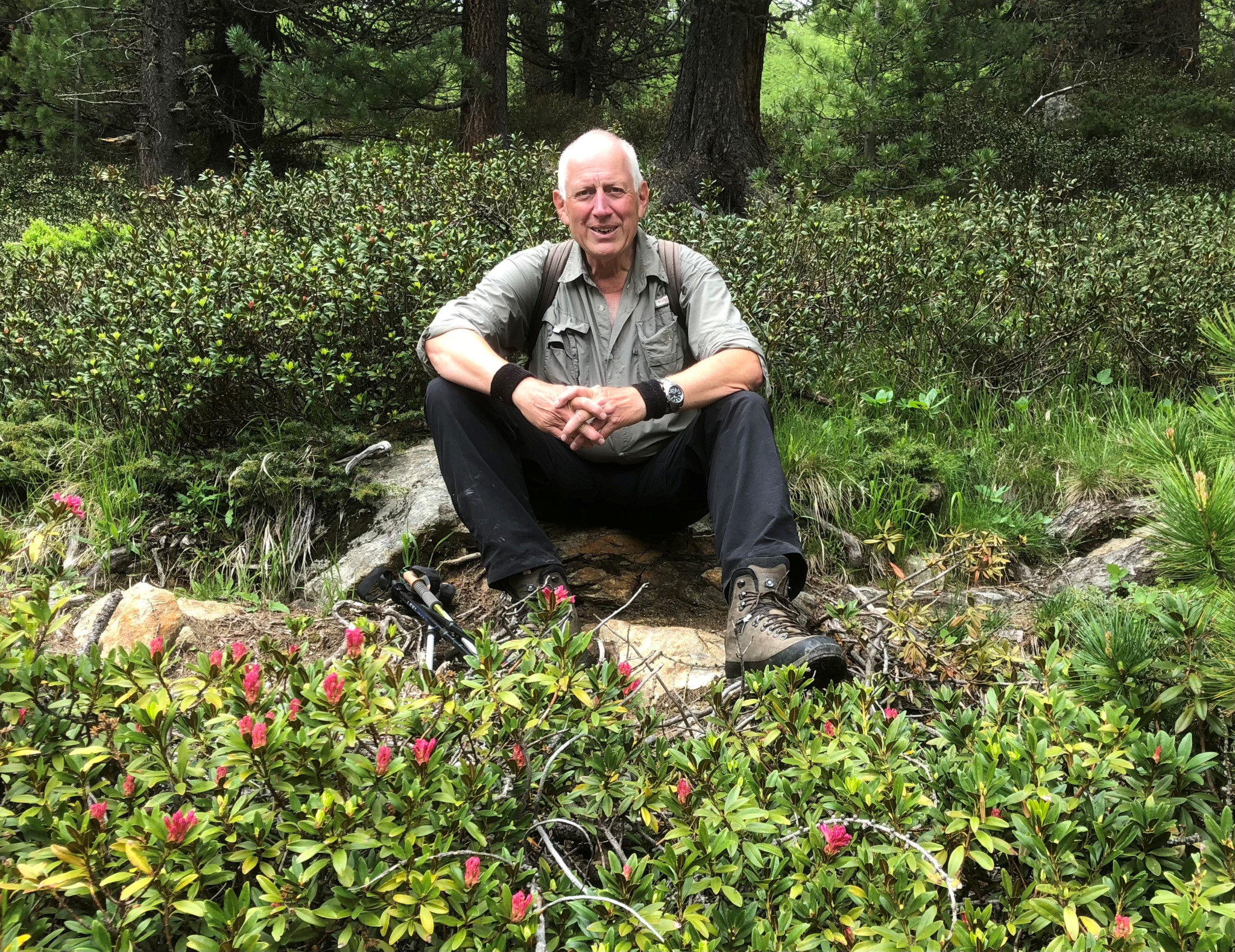 Kurzmeldungen Zürichsee | Tages-Anzeiger