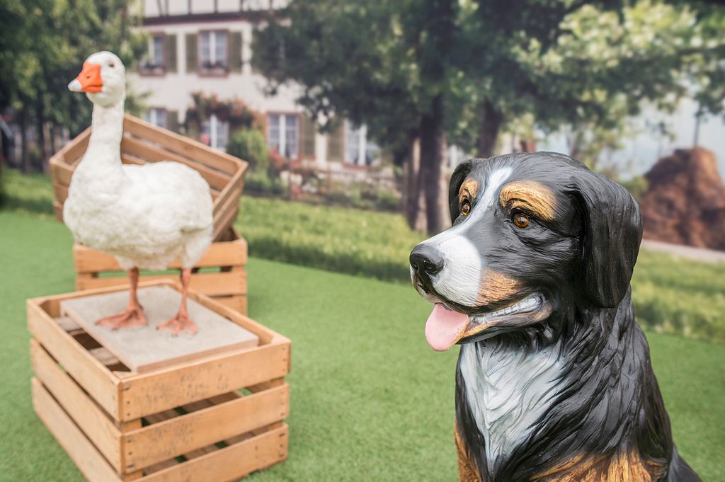 Hans und Barry erwarten Besuch | Der Bund