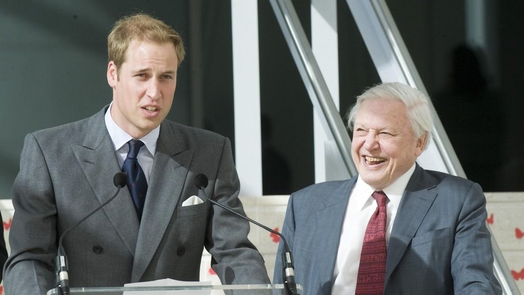 Prinz William kommt ans WEF | Berner Zeitung