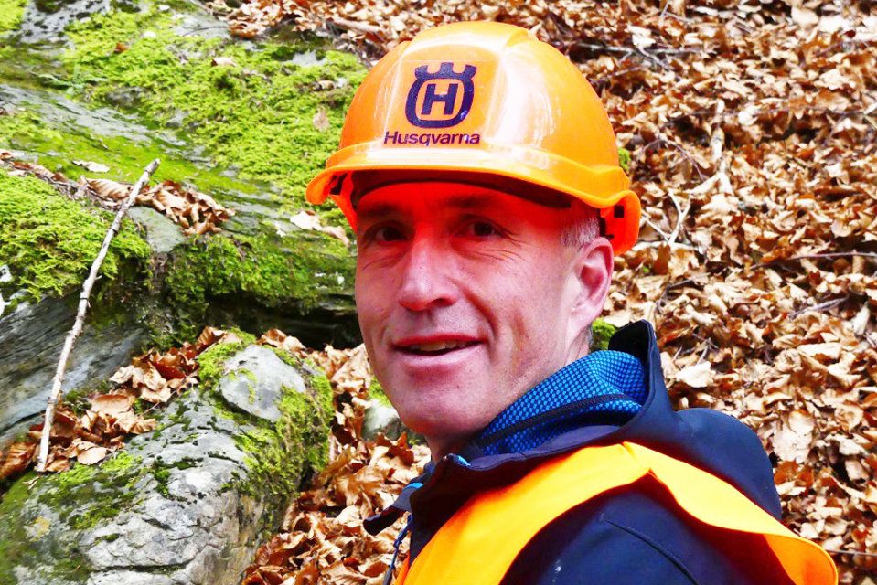 So wird heute ein Schutzwald saniert | Berner Zeitung