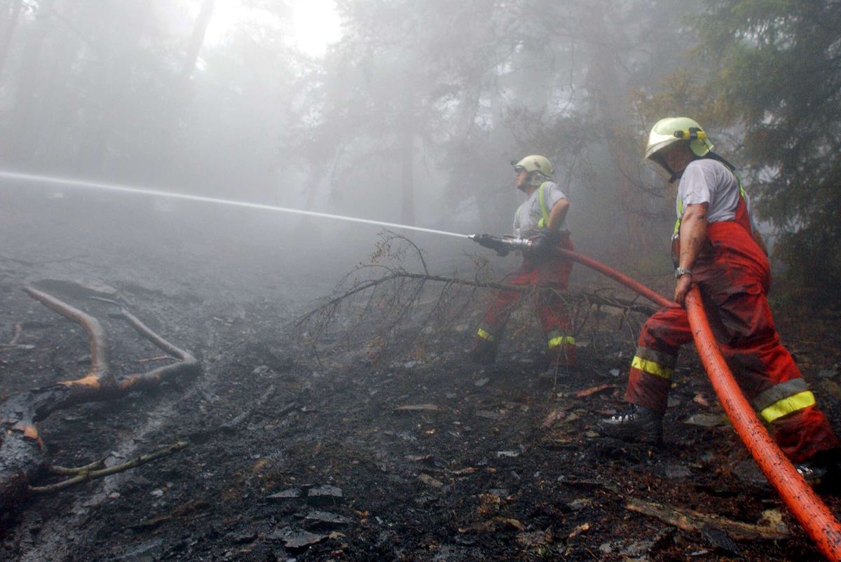 Schweizer Waldbrände in Bildern: Das sind die grössten Feuer der ...
