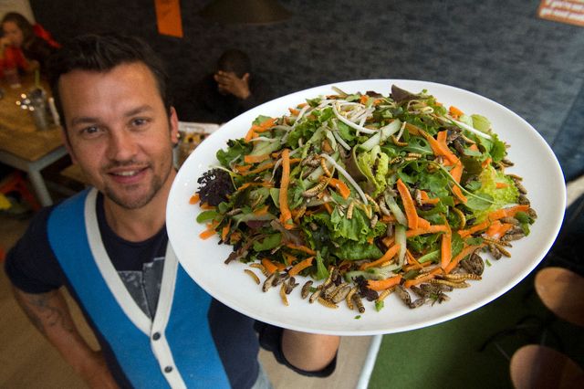 Une salade d'insectes dans un resto lausannois | 24 heures