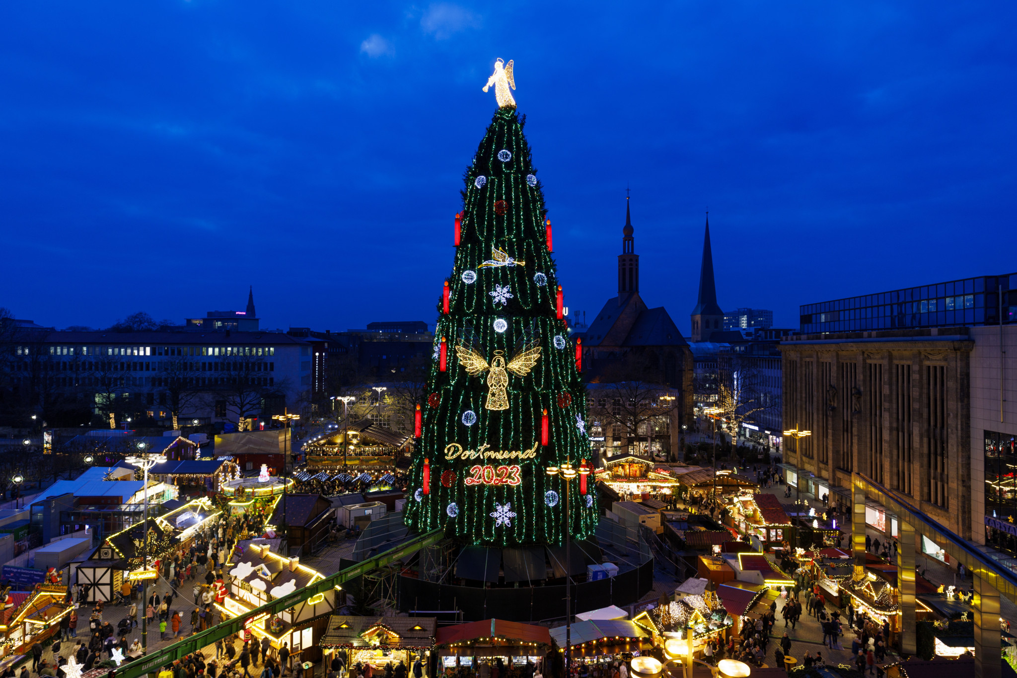 Fêtes de fin d’année: En Allemagne, haro sur le sapin de Noël | Tribune ...