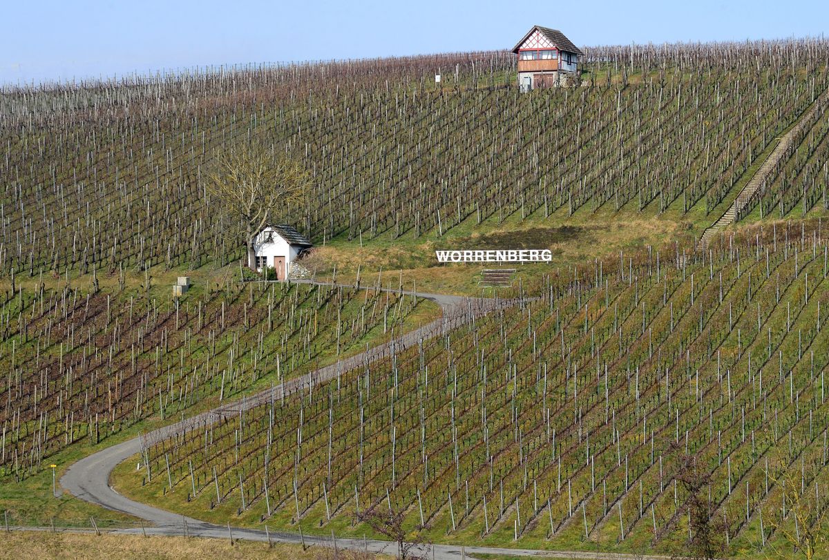 Ausflugstipps Region Winterthur: Das sind die zehn schönsten Rebberge ...