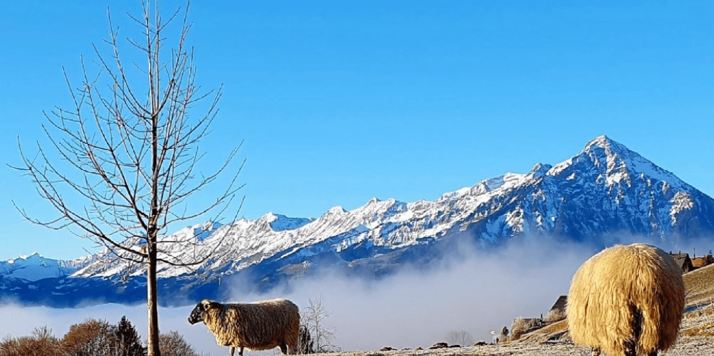 Météo: la Suisse romande bascule dans l’hiver