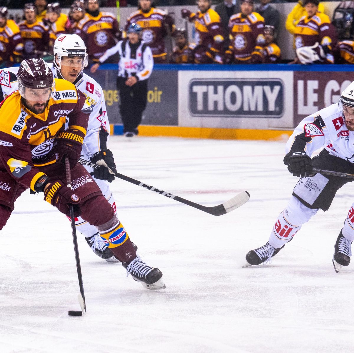Sports | Tribune de Genève