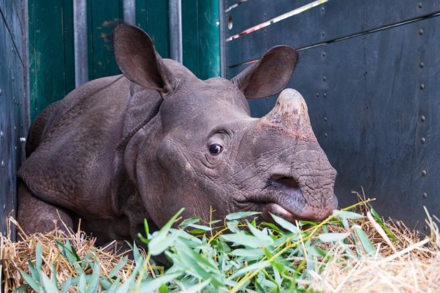 News aus der Region | Basler Zeitung