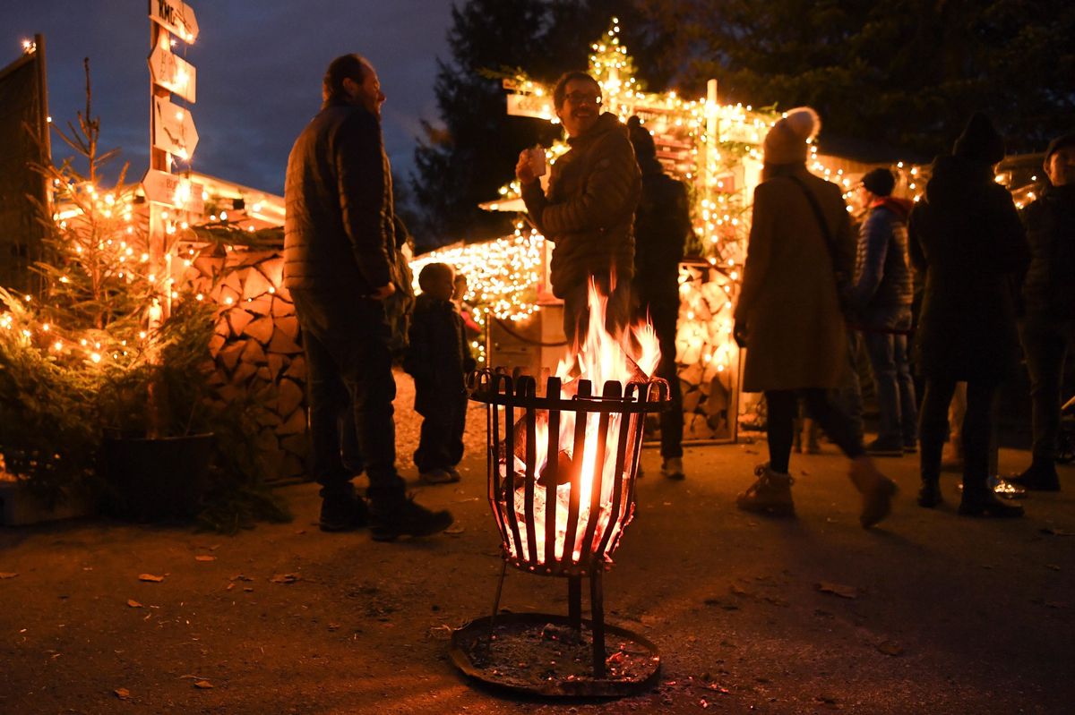 Lichterweg in Thalwil: 1000 Lichter versprühen vorweihnachtlichen Glanz ...